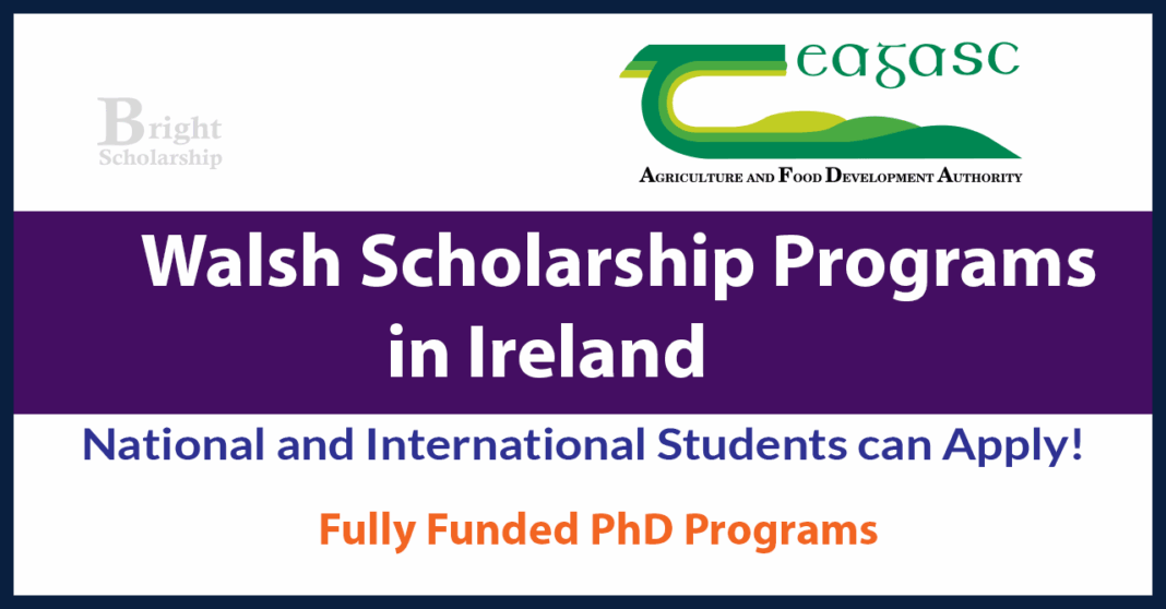 Apply for Walsh Scholars PhD Program 2026 in Ireland (Fully Funded ...